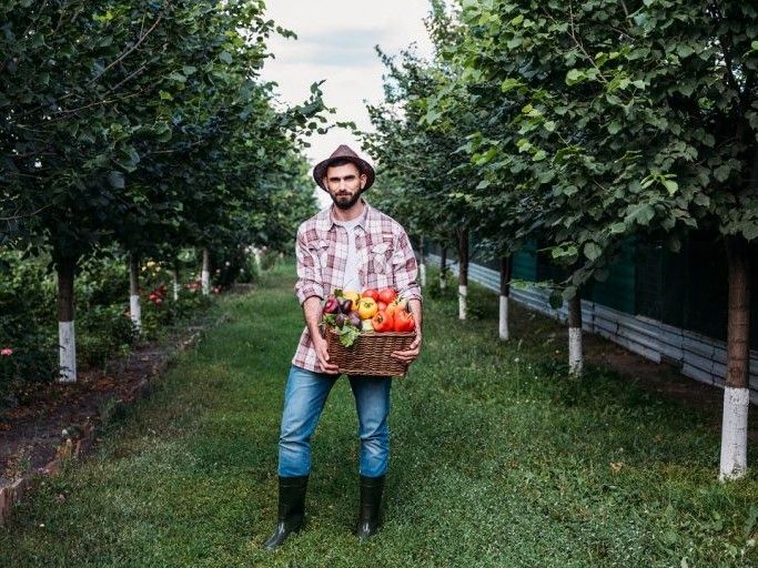 Bandi | Bandi e Servizi